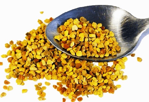 Dragocjeni pcelinji proizvodi – Med, Propolis, Matična mliječ i Polenov ...